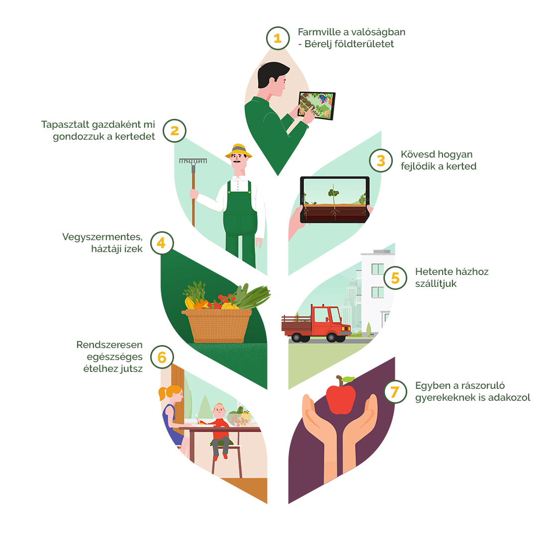MyFarm Harta - Közösségi kert